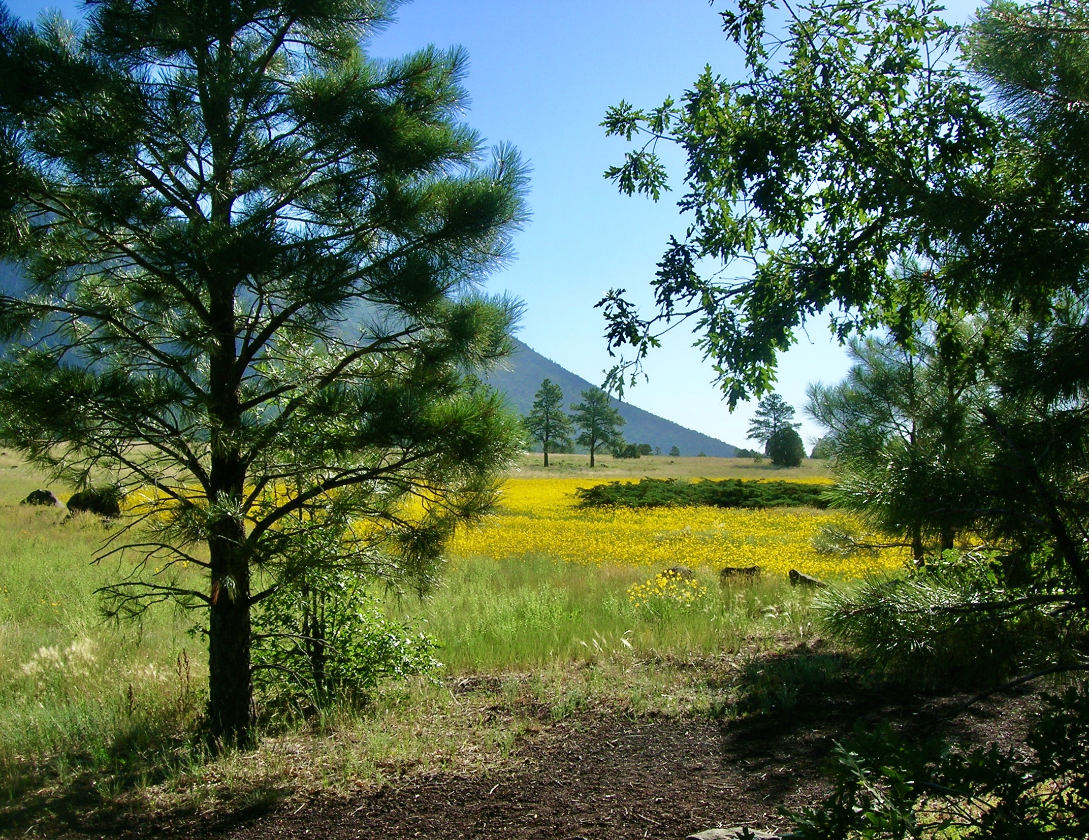 Nature Interrupted – Micro of the Macro