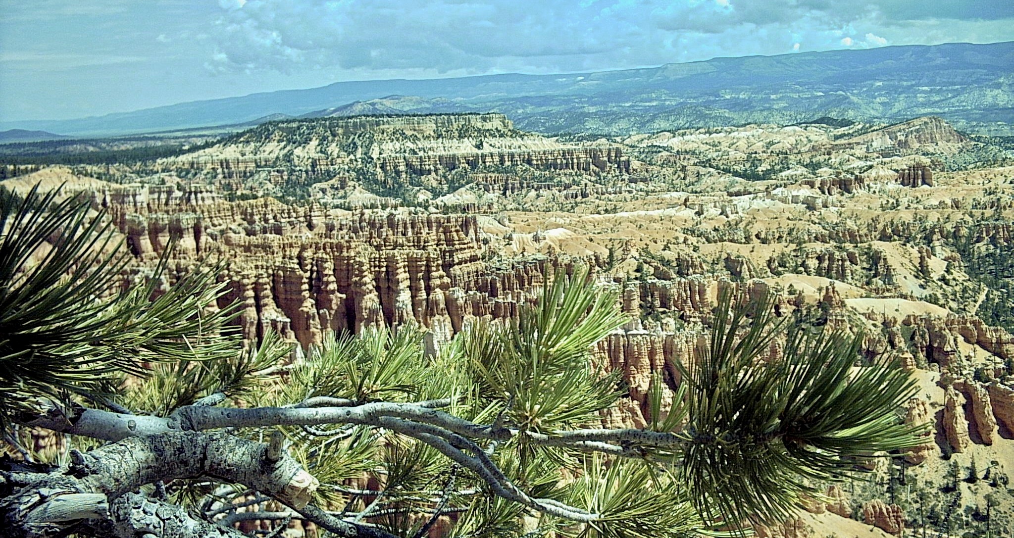 Earth Rocks! – Micro of the Macro