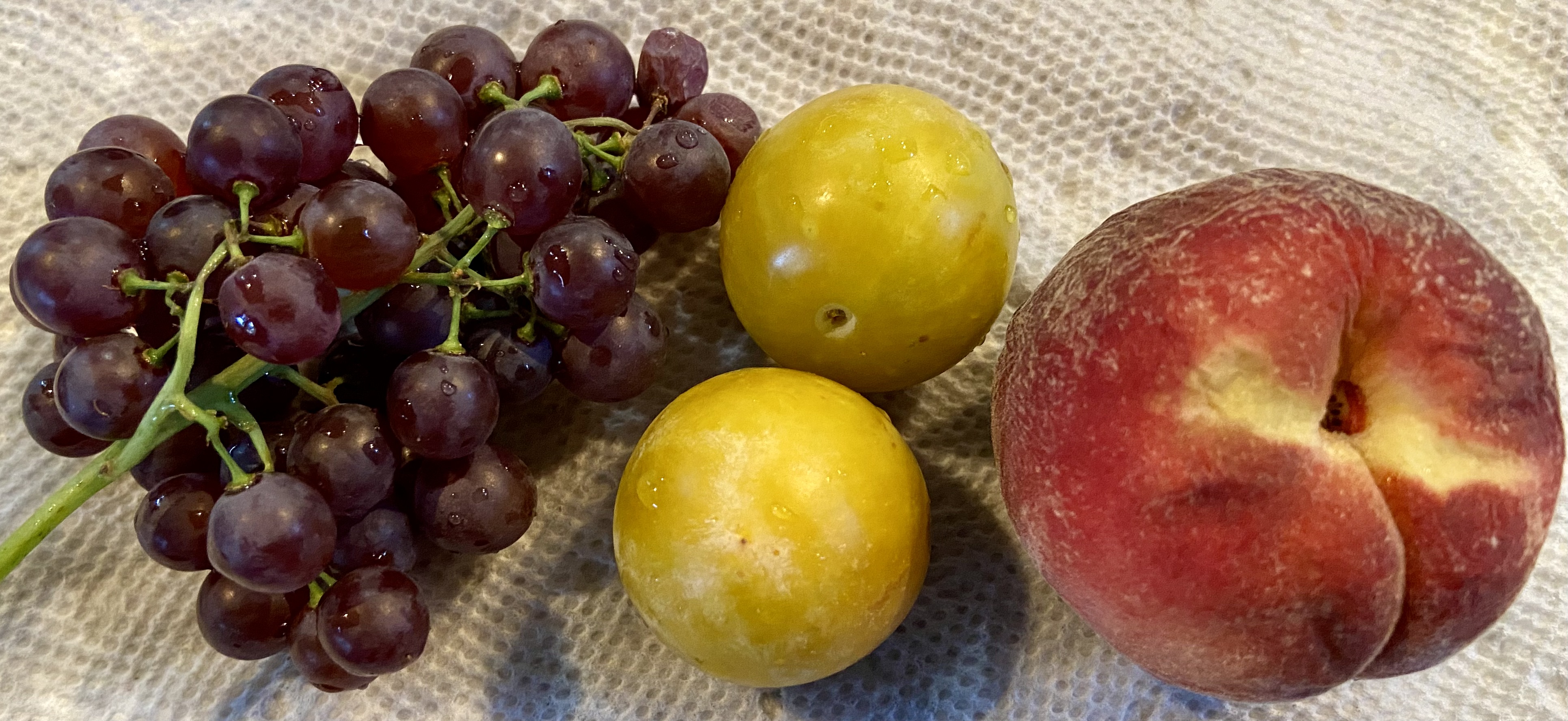 6 Reasons You Shouldn’t Fear Fruit – Micro of the Macro