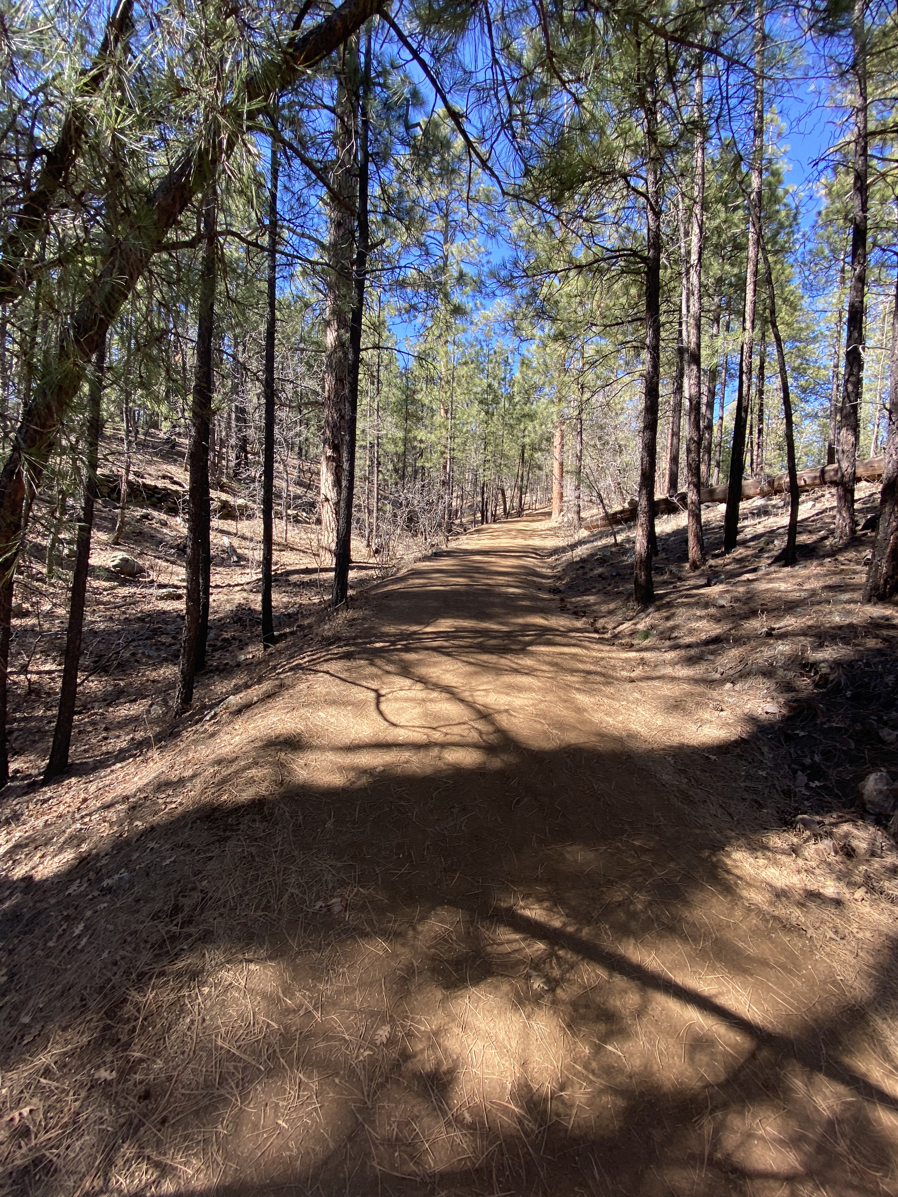 Mars Hill Trail in Flagstaff – Micro of the Macro